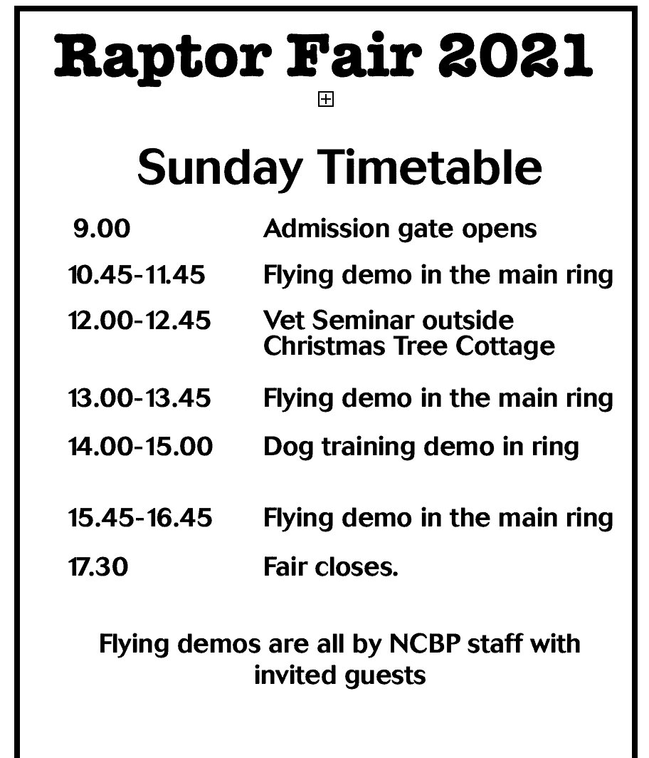 What to see - Raptor Fair 2021