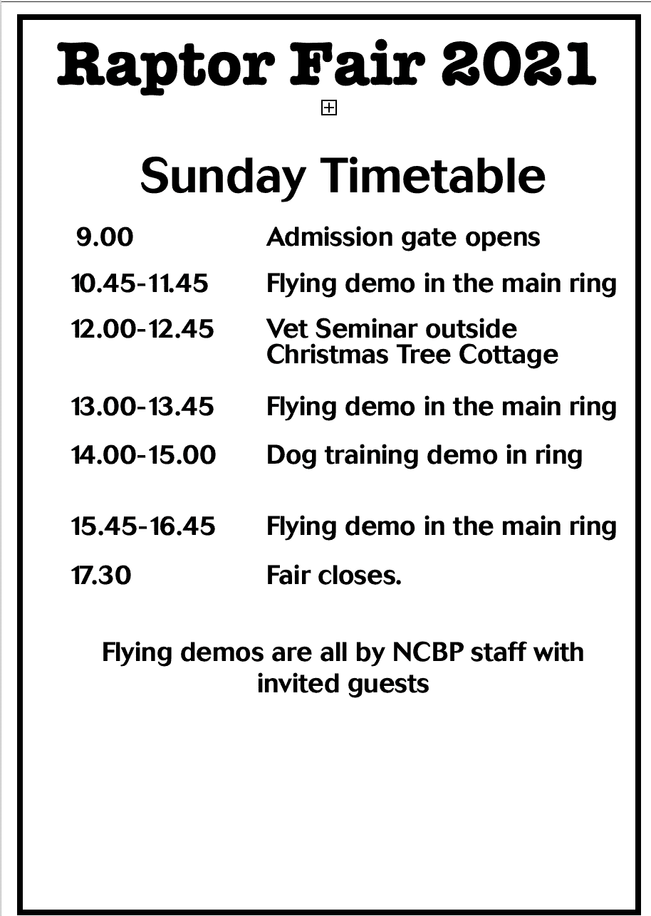 What to see - Raptor Fair 2021